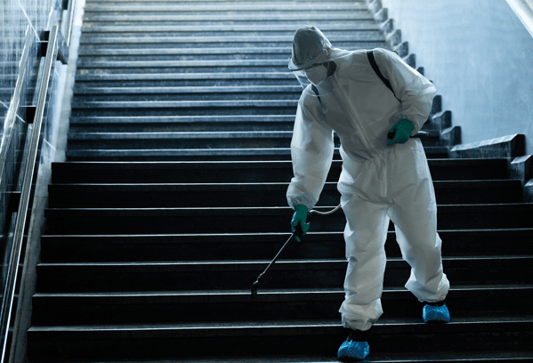 Pest Control for Shopping Malls in Toronto | X-Guard